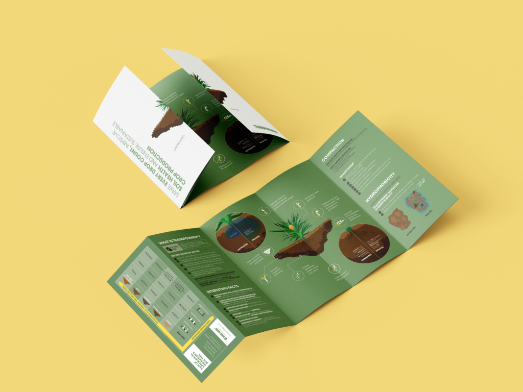 Illustration - Splitpants Productions