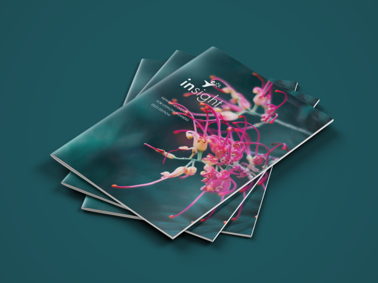 Splitpants Productions – Art and Graphic Design