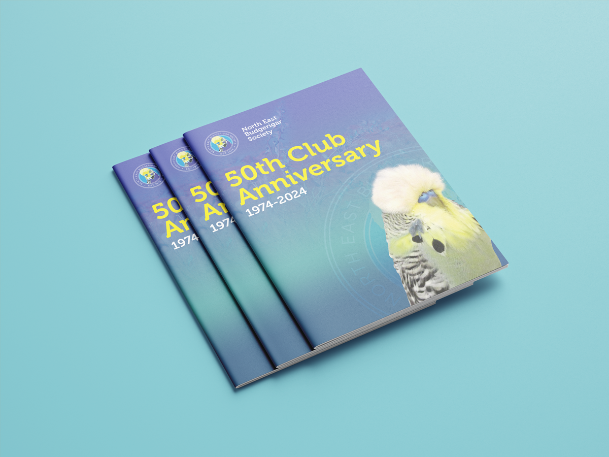 Reports, Magazines & Documents - Splitpants Productions